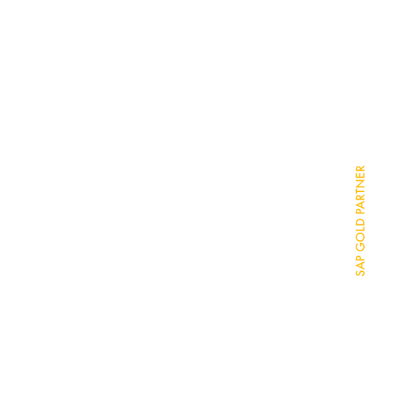 Sineti | Consulting